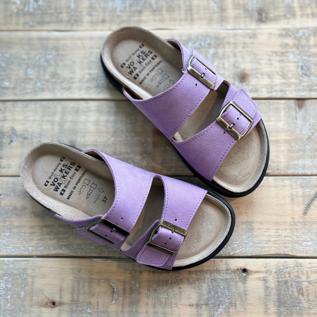 Volks Walkers Shoes Canada – Comfort & Support | The Shoebox Sarnia ...